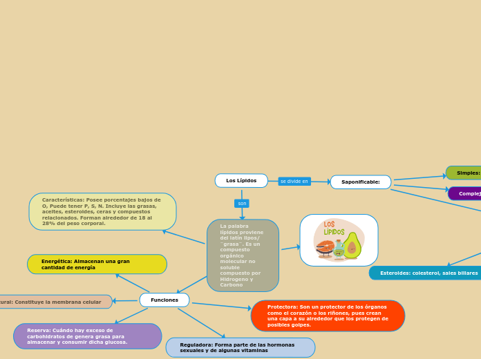 Los Lípidos - Mind Map